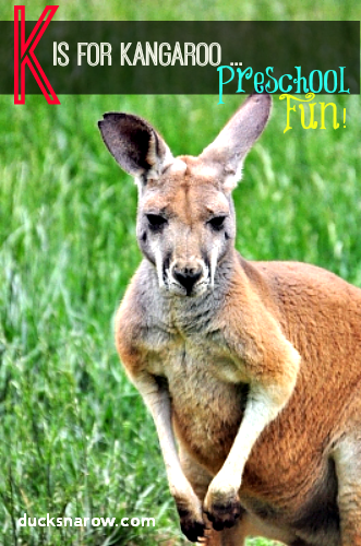 K is for Kangaroo - Preschool Fun! - 2025 - Ducks 'n a Row