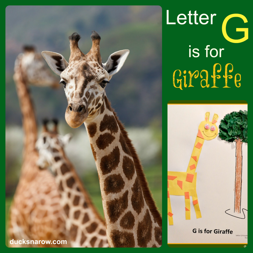 G is for Giraffe Preschool Lesson & Fun Craft - Ducks 'n a Row