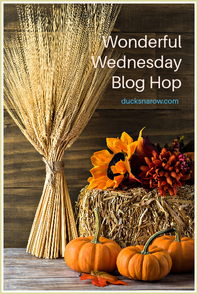Wonderful Wednesday Blog Hop - Ducks 'n a Row