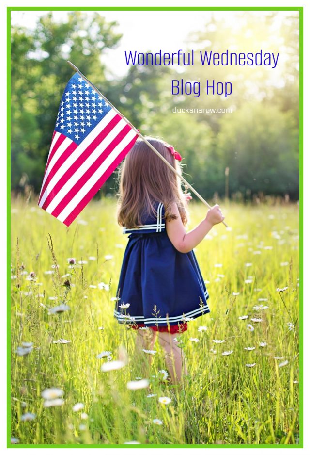 Wonderful Wednesday Blog Hop - Ducks 'n a Row